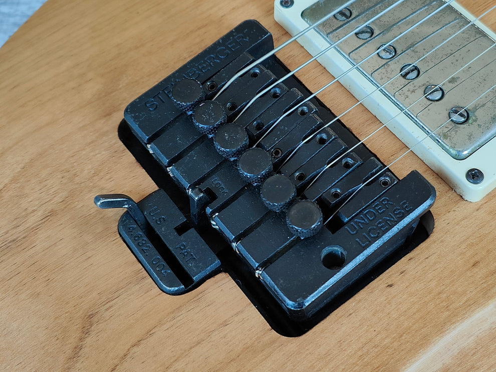 Weird Samick Guitar from 1992 (with Steinberger Tremolo) – Cool Old Guitars