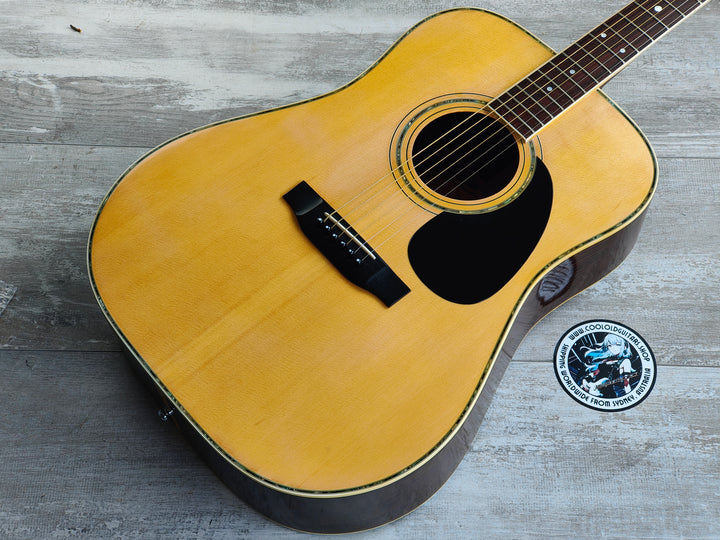 Acoustics – Cool Old Guitars