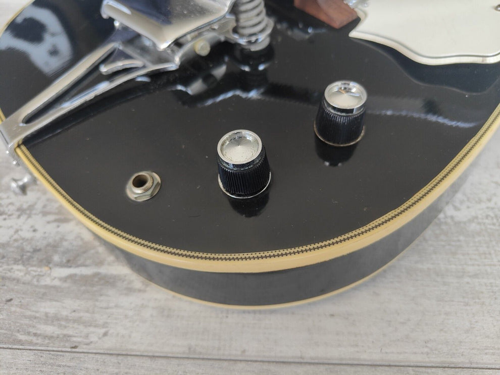 1960's Splendor Japan Teardrop Hollowbody Electric Guitar (Black ...